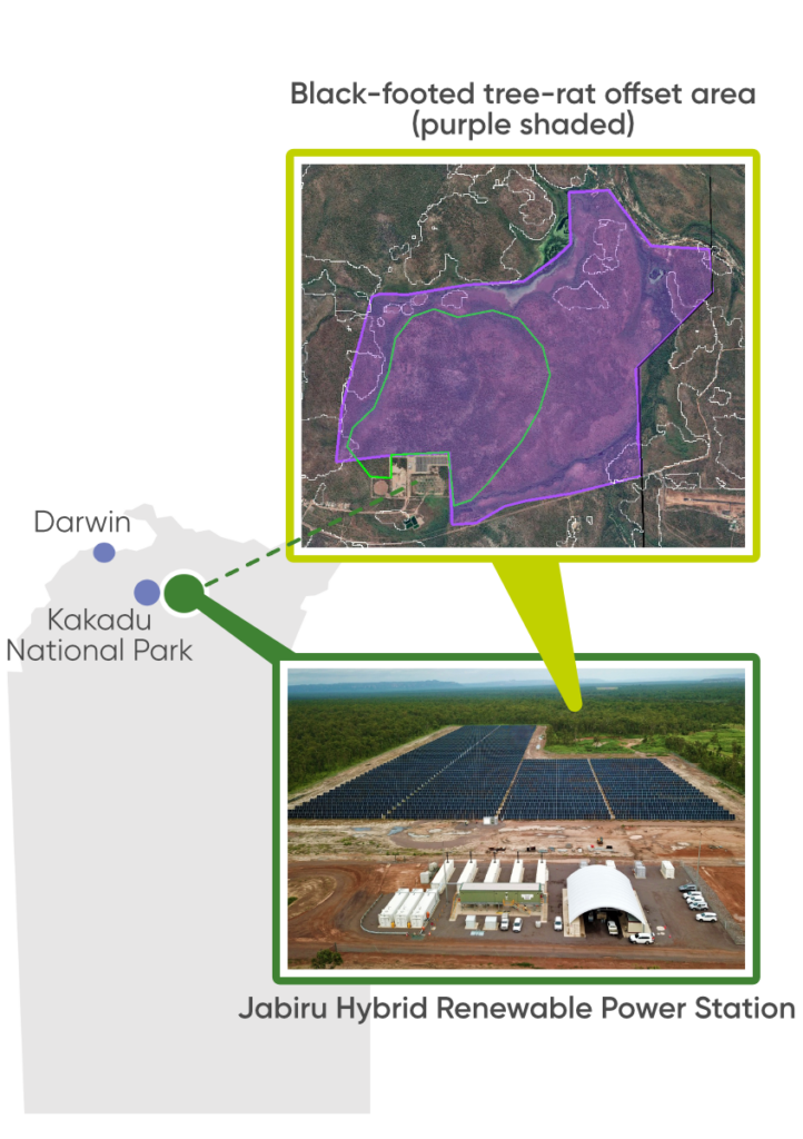 Jabiru celebrates first 500 days of solar power with new conservation ...